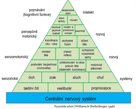 Příručka senzorické integrace